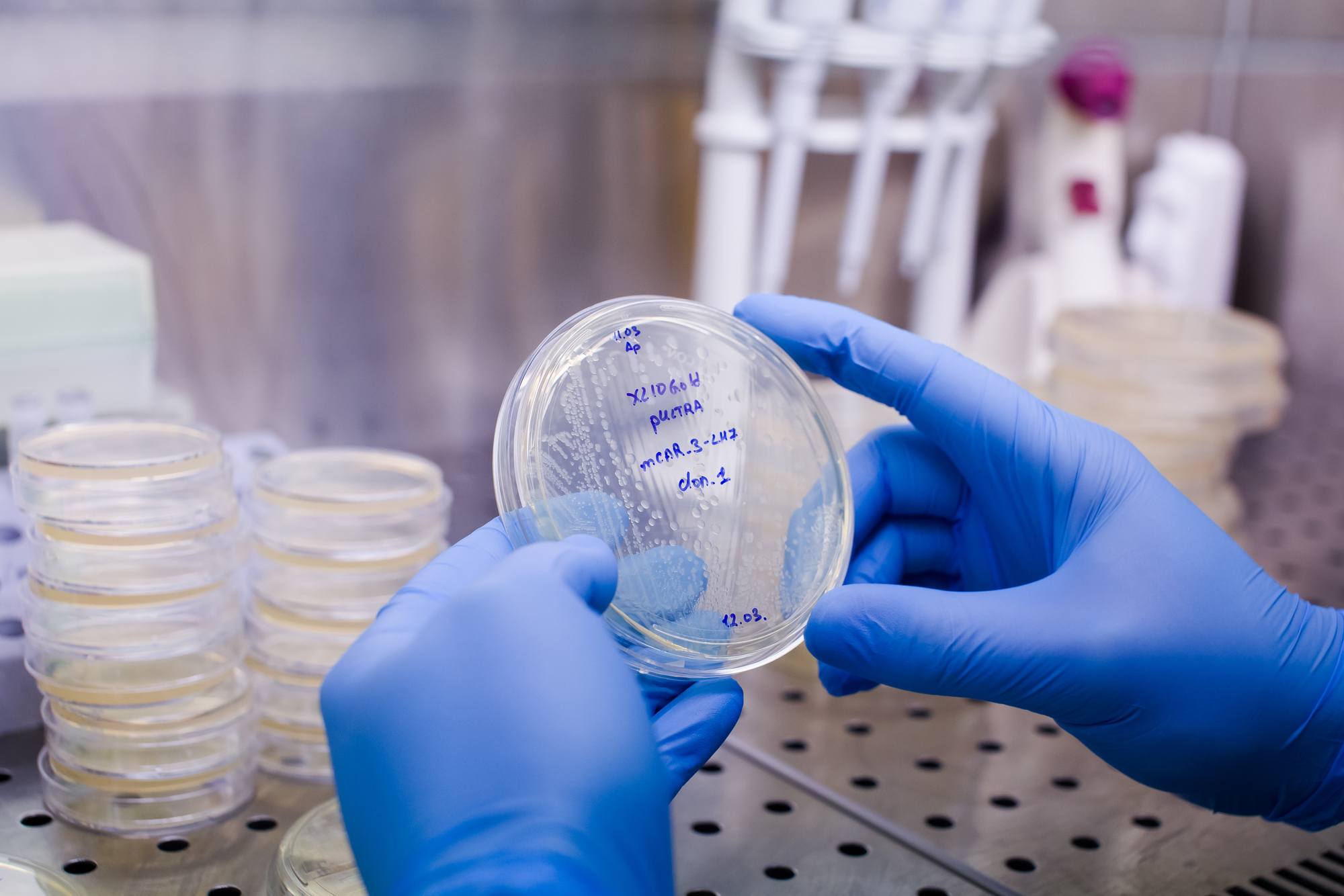 Infectious Diseases | Medpace Central Labs