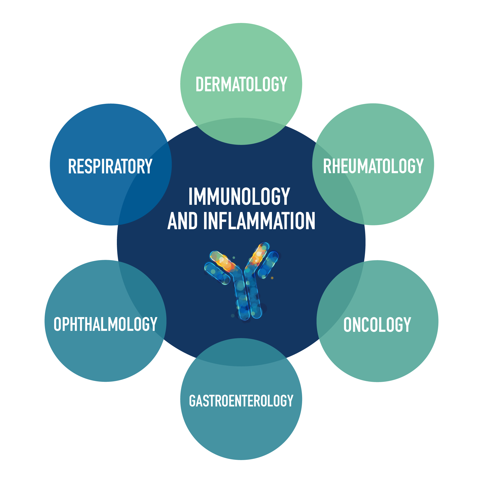 Immunology & Inflammation CRO | Medpace