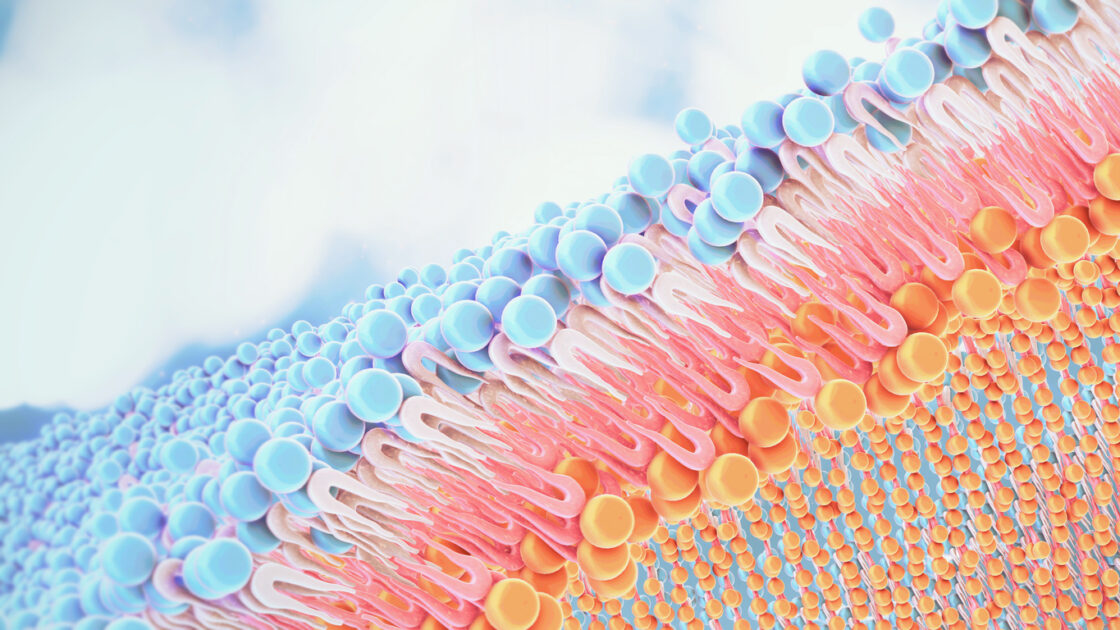 Interactive Response Technology (IRT) | Medpace